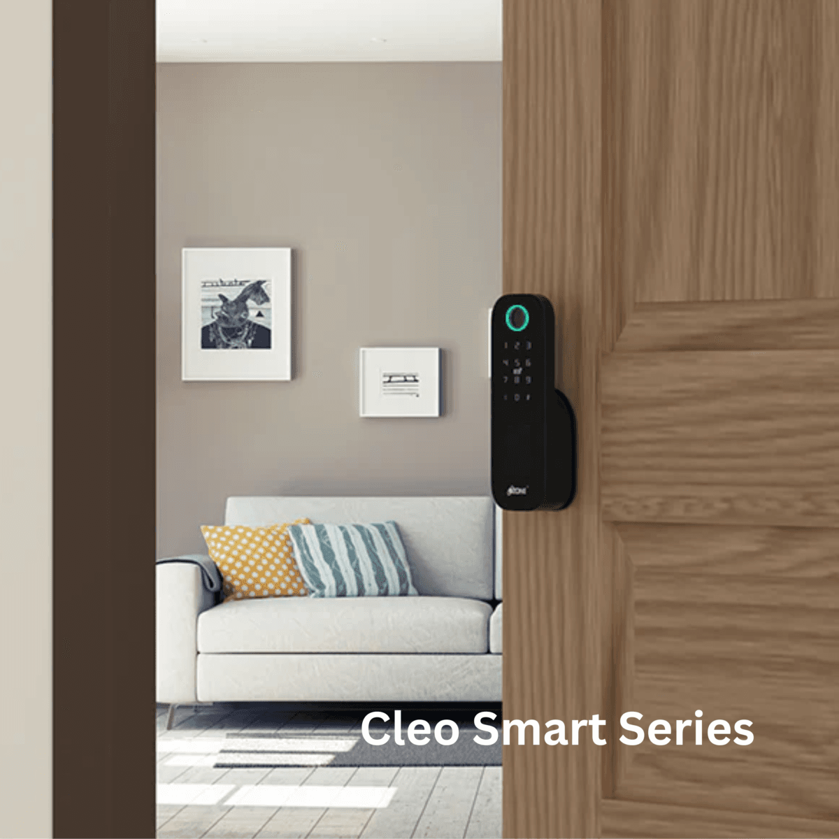 Cleo Smart Series - Jubilant International